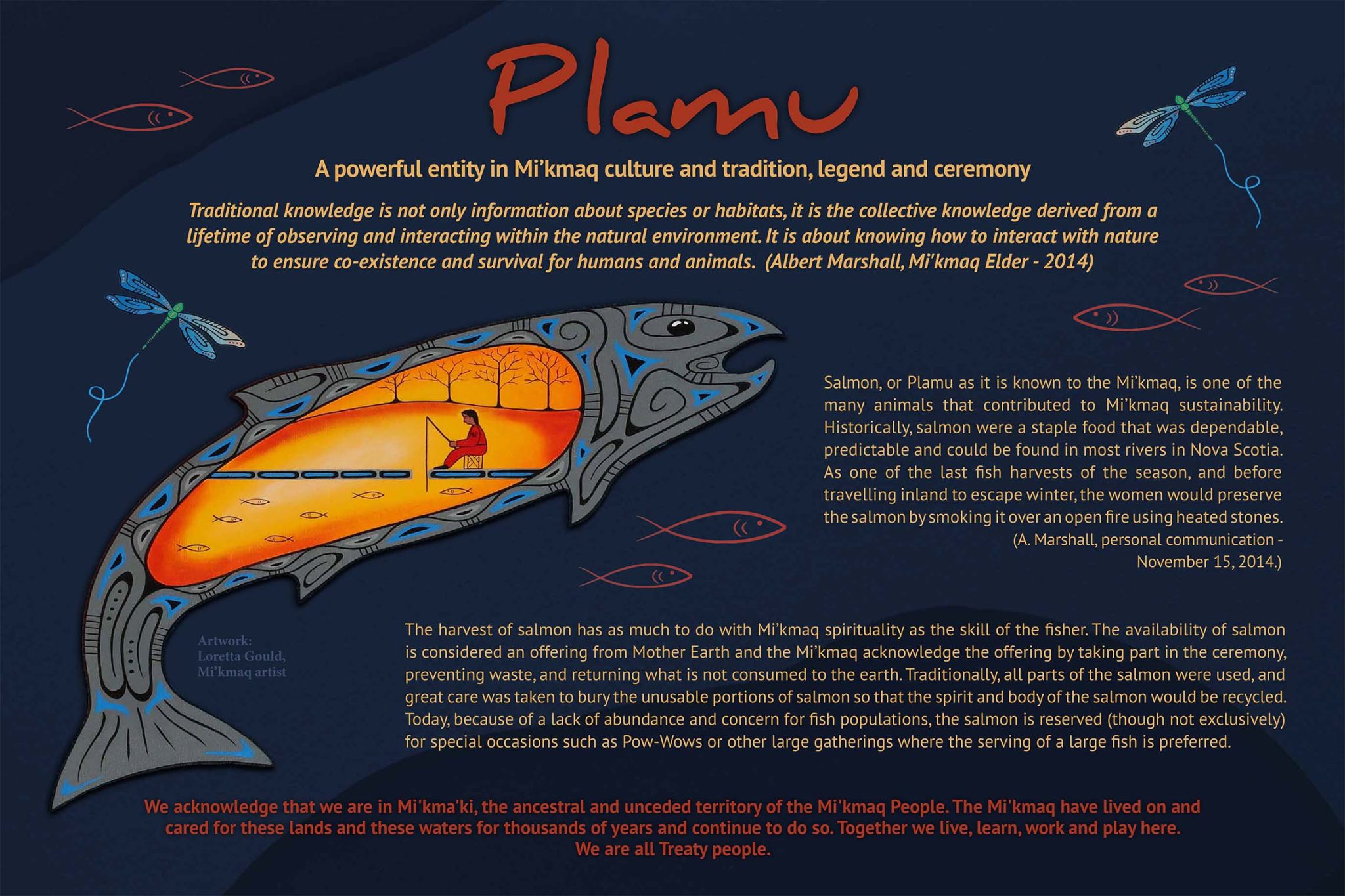 Plamu – The Margaree Salmon Museum